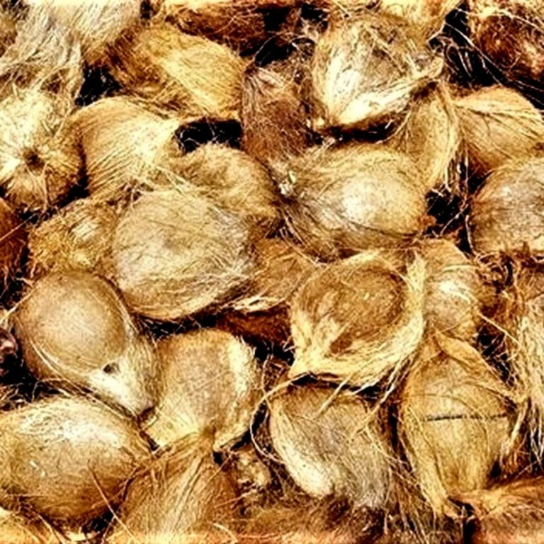 Coconut Products - CoCoMaN Coconut Machines